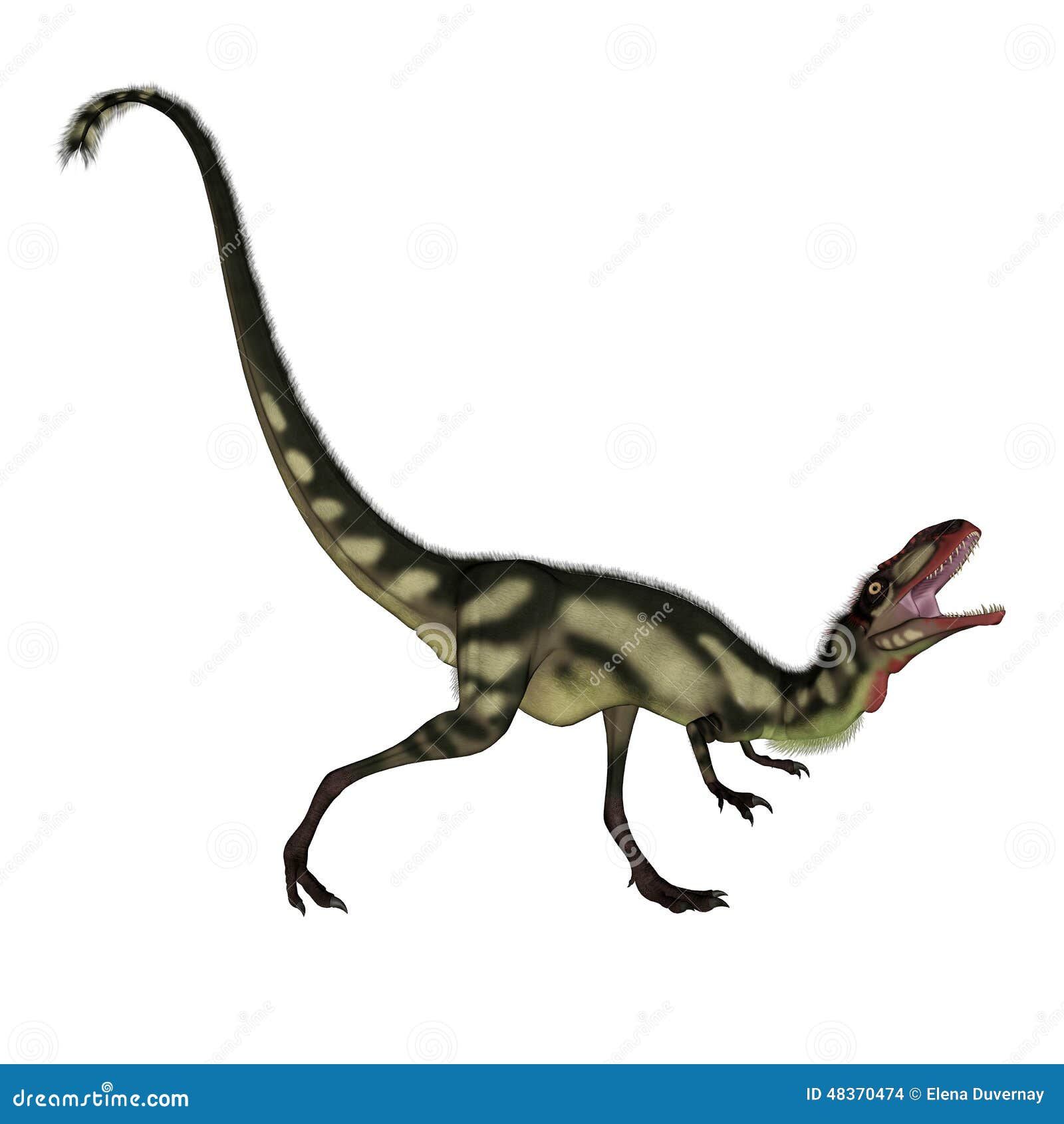 Dilong Dinosaur Roaring - 3D Render Stock Illustration - Illustration ...