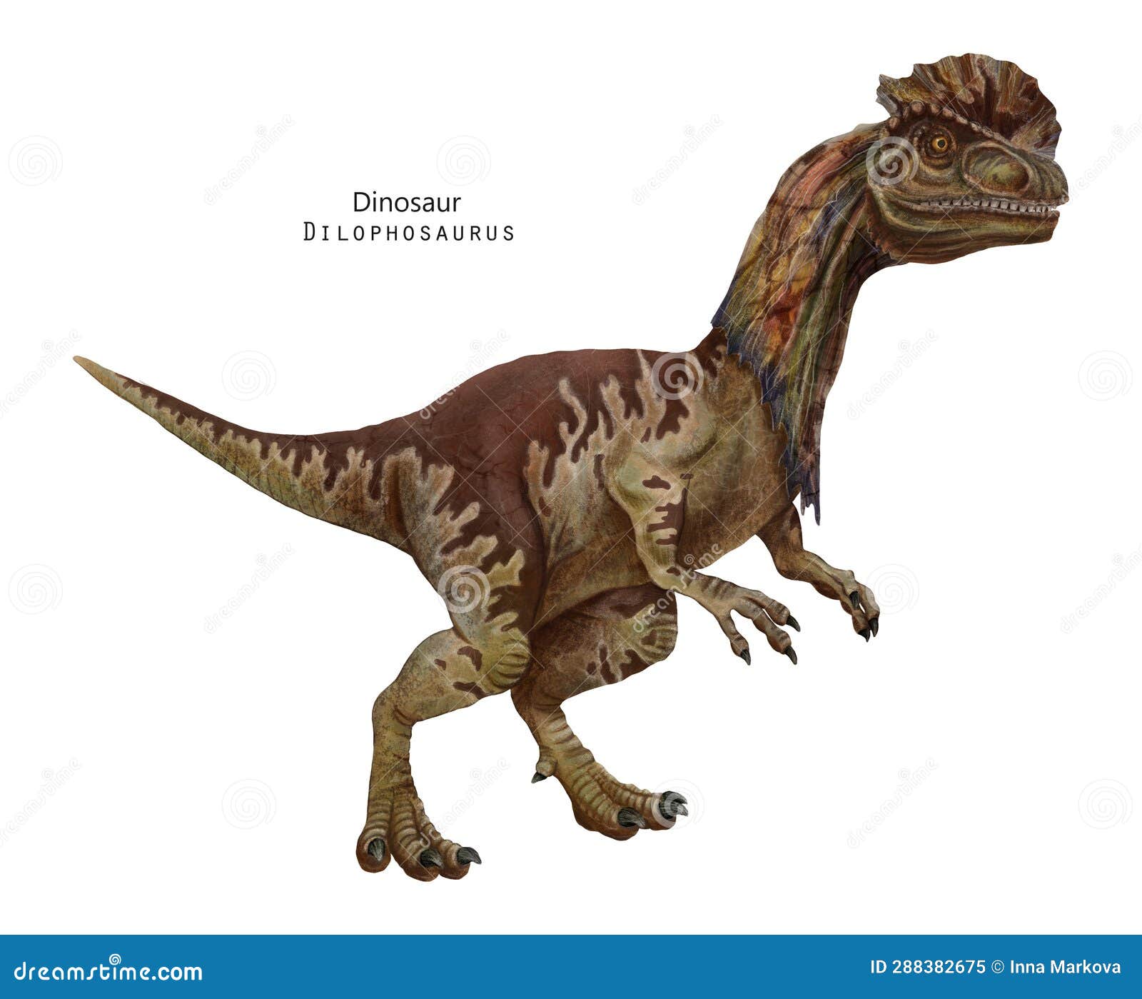 Dilophosaurus Illustration. Brown Dilophosaurus Stock Illustration - Illustration of brown ...