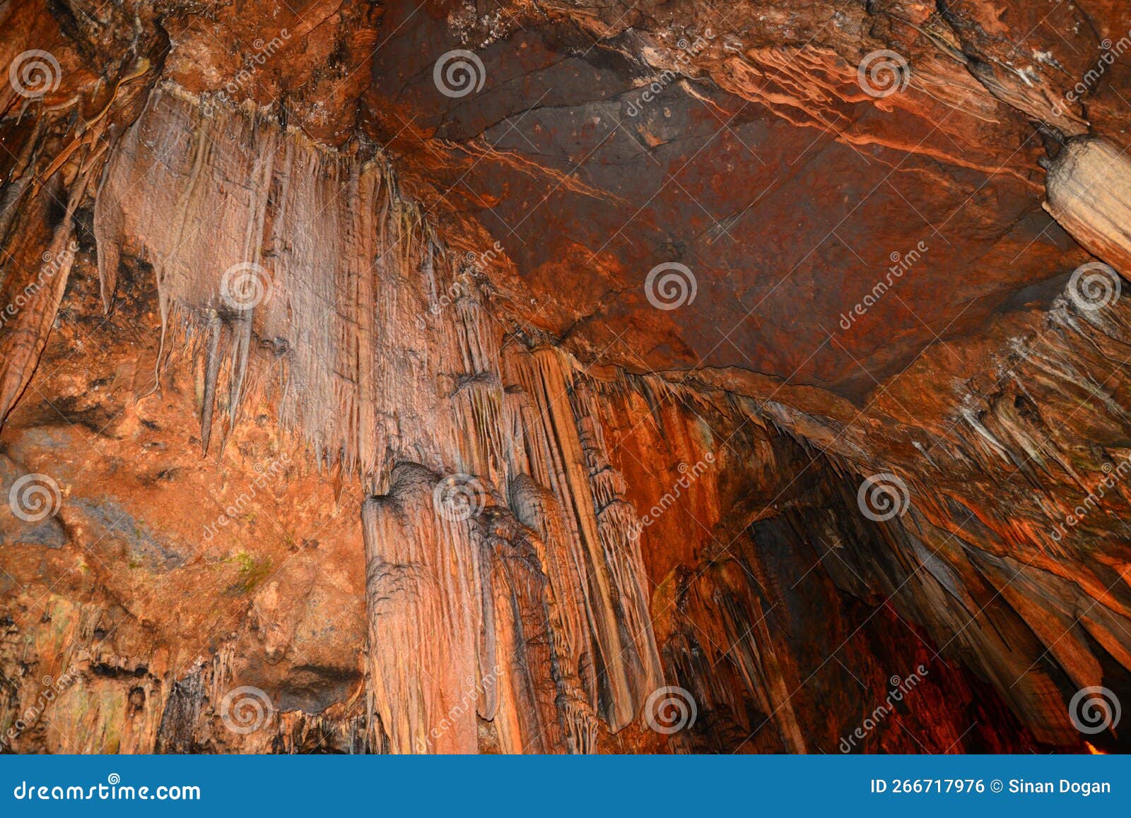 Dim Cave - Antalya stock photo. Image of tree, soil - 266717976
