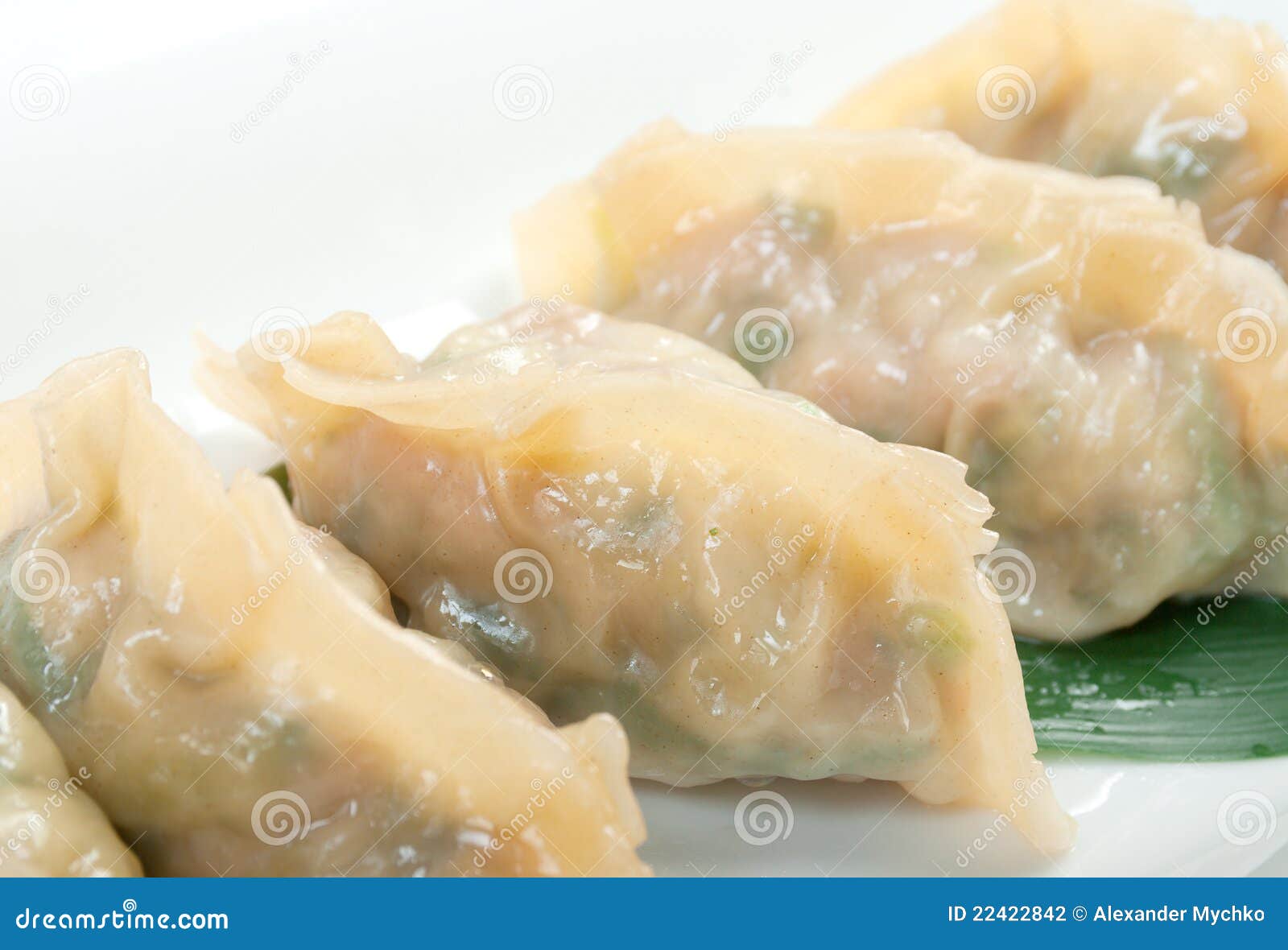 Dim-sum call Gyoza, stock photo. Image of appetizer, dumpling - 22422842