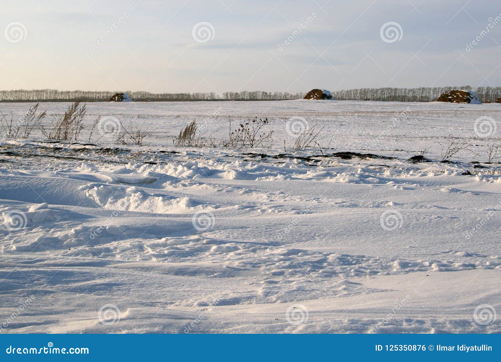 The Dim Winter Landscape in Russia. Stock Photo - Image of frost, bales ...