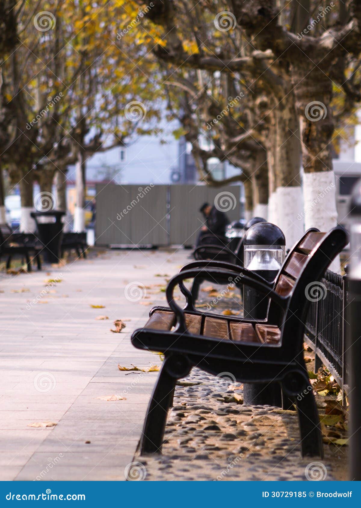 Autumn Disconsolate Stock Photos - Free & Royalty-Free Stock Photos ...