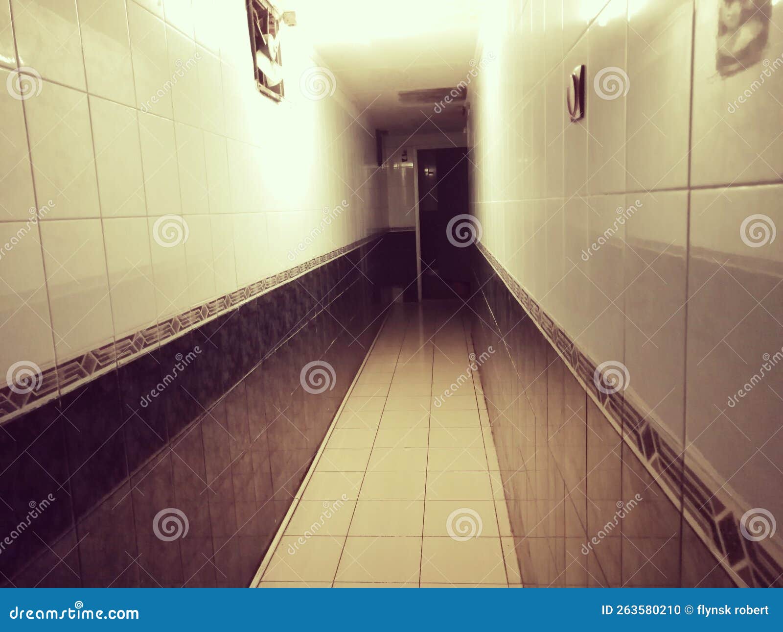 Dimension hall stock photo. Image of architecture, light - 263580210