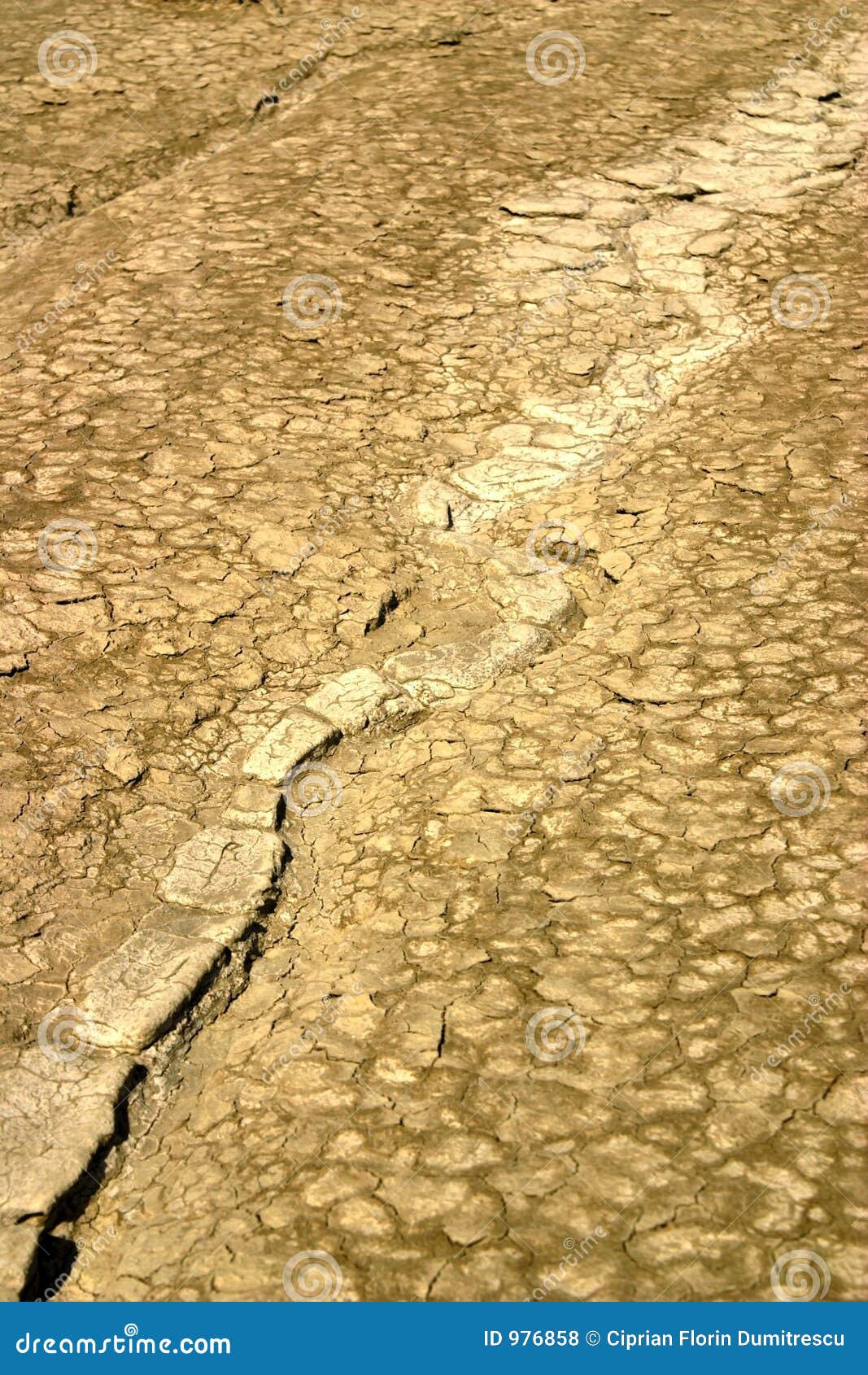 Formas Del Fango Imagen. Imagen: 976858