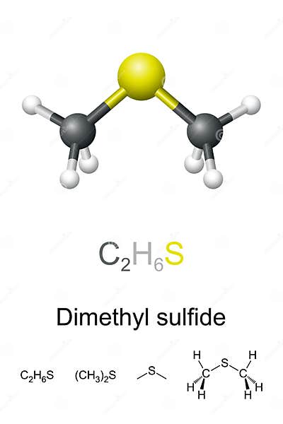 Dimethyl Sulfide, DMS, Chemical Formula and Molecule Model Stock Vector ...
