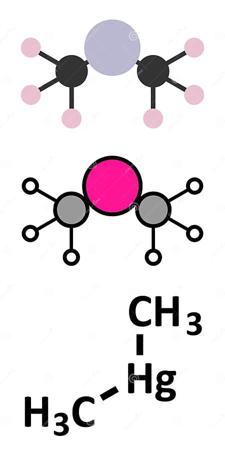 Dimethylmercury (organomercury Compound) Molecule Stock Vector ...