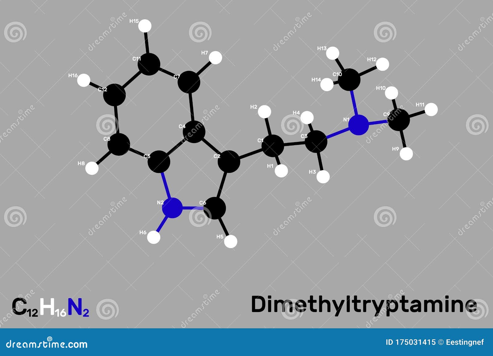 Dimethyltryptamine Molecule