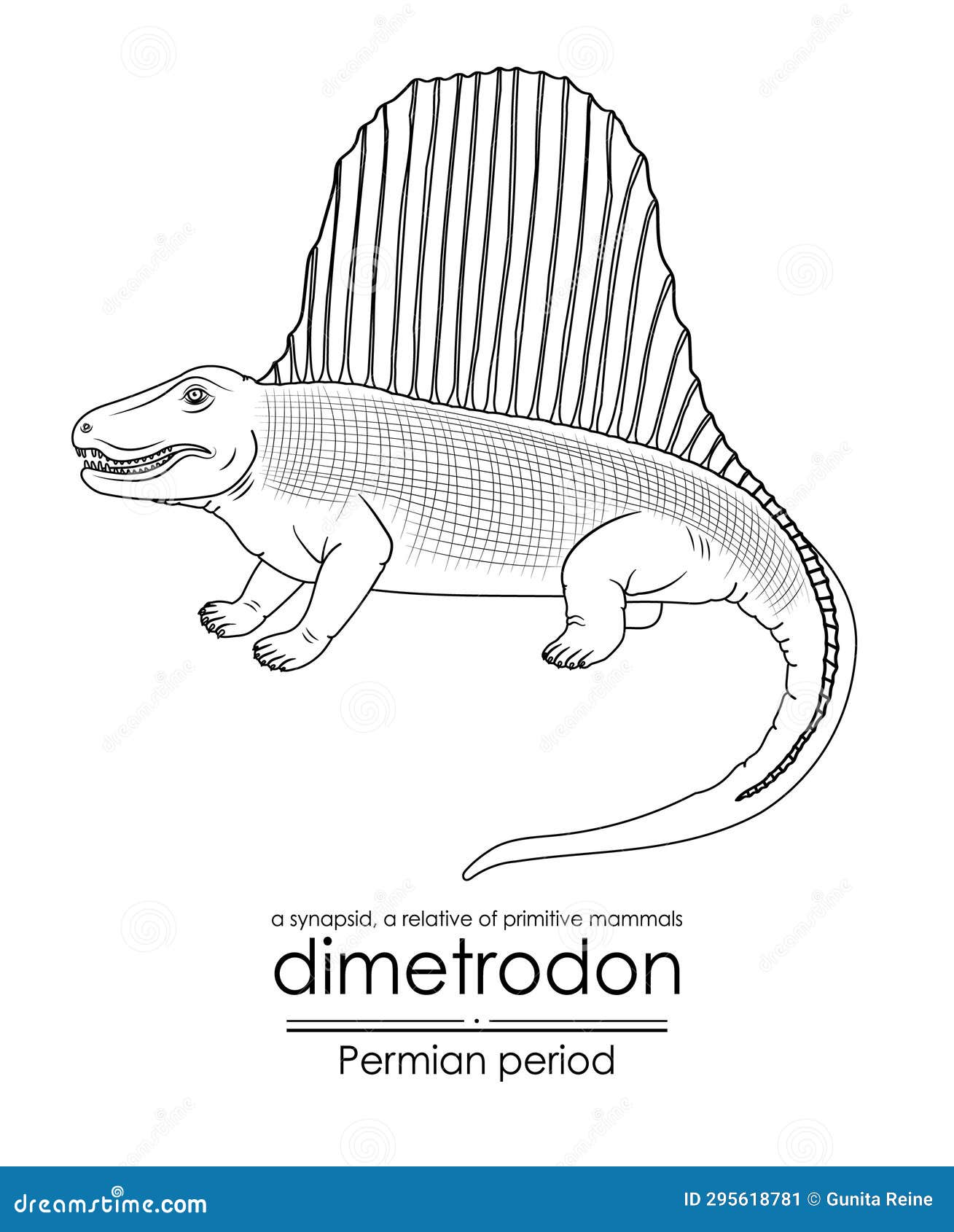 Dimetrodon stock vector. Illustration of coloring, sketch - 295618781