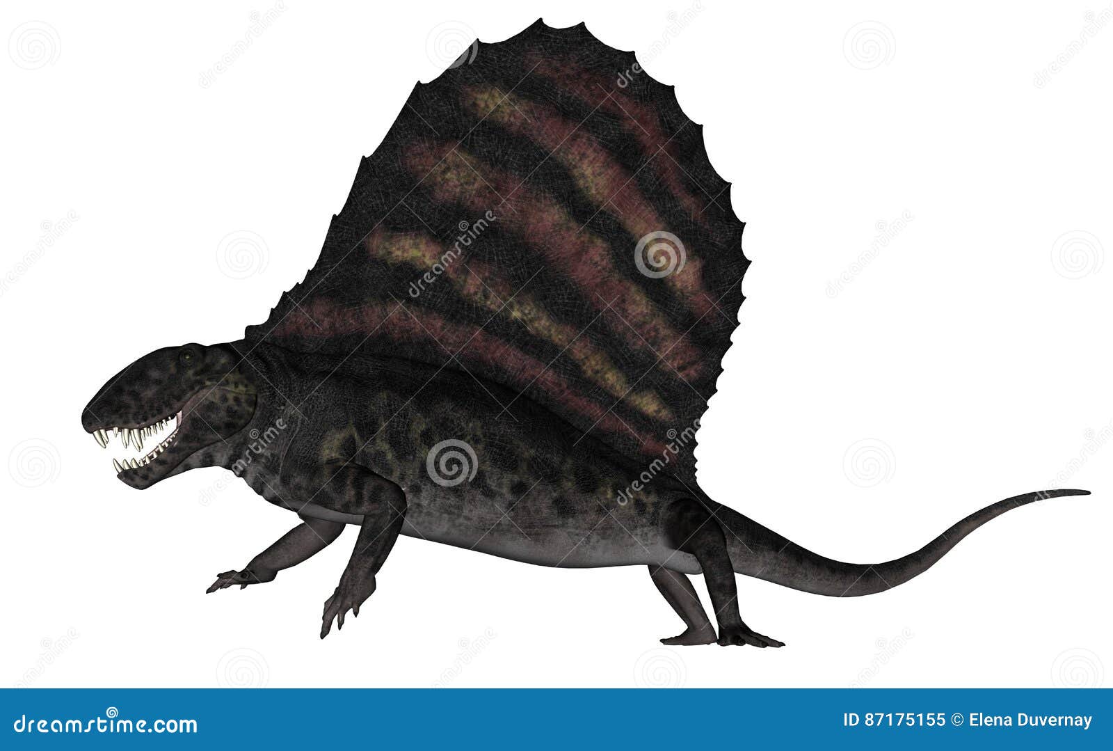 Dimetrodon Dinosaur Flat Icon. Colored Isolated Prehistoric Reptile ...