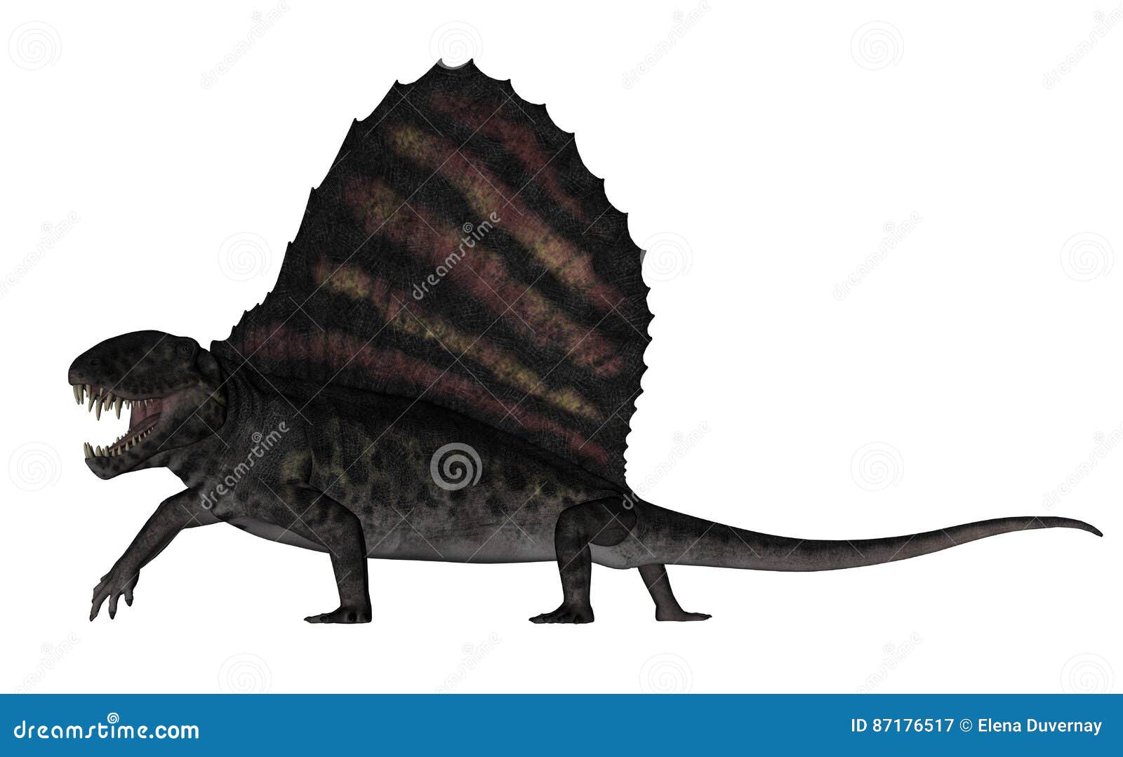 Dimetrodon Dinosaur - 3D Render Stock Illustration - Illustration of ...
