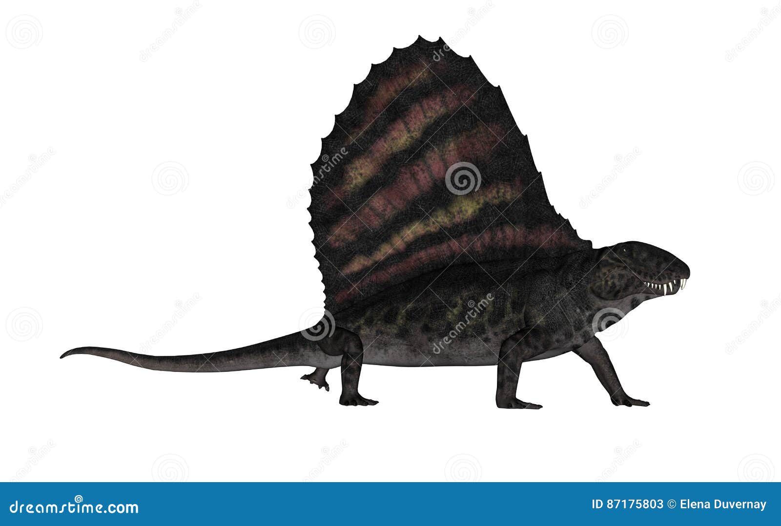 Dimetrodon Dinosaur With Yellow And Red Spots Vector Illustration ...