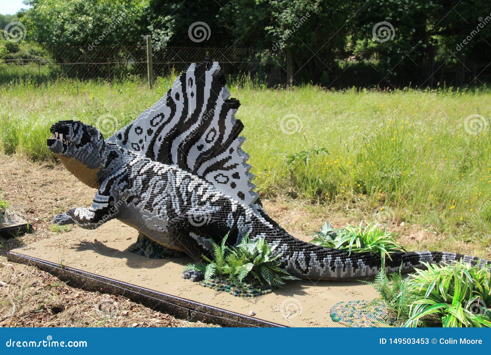 Dimetrodon Dinosaur Model editorial stock photo. Image of reptile ...