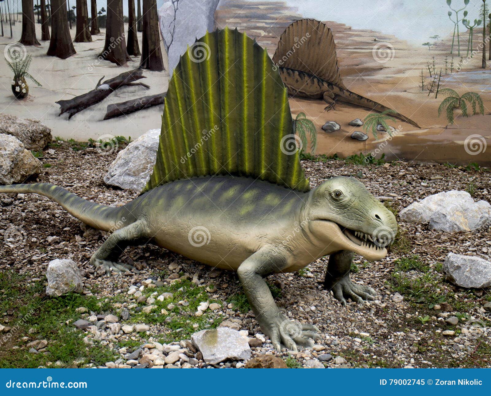 Dimetrodon Dinosaur Stock Image | CartoonDealer.com #79002745