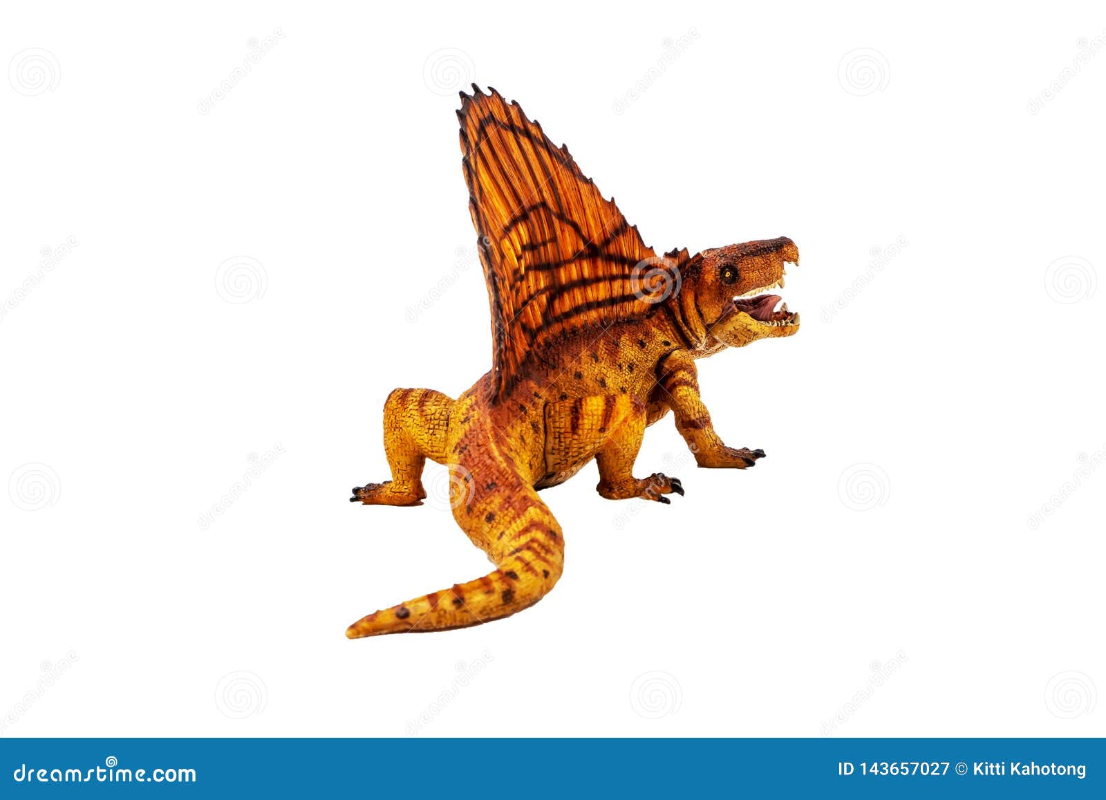 Dimetrodon Dinosaur on White Background Stock Image - Image of permian ...