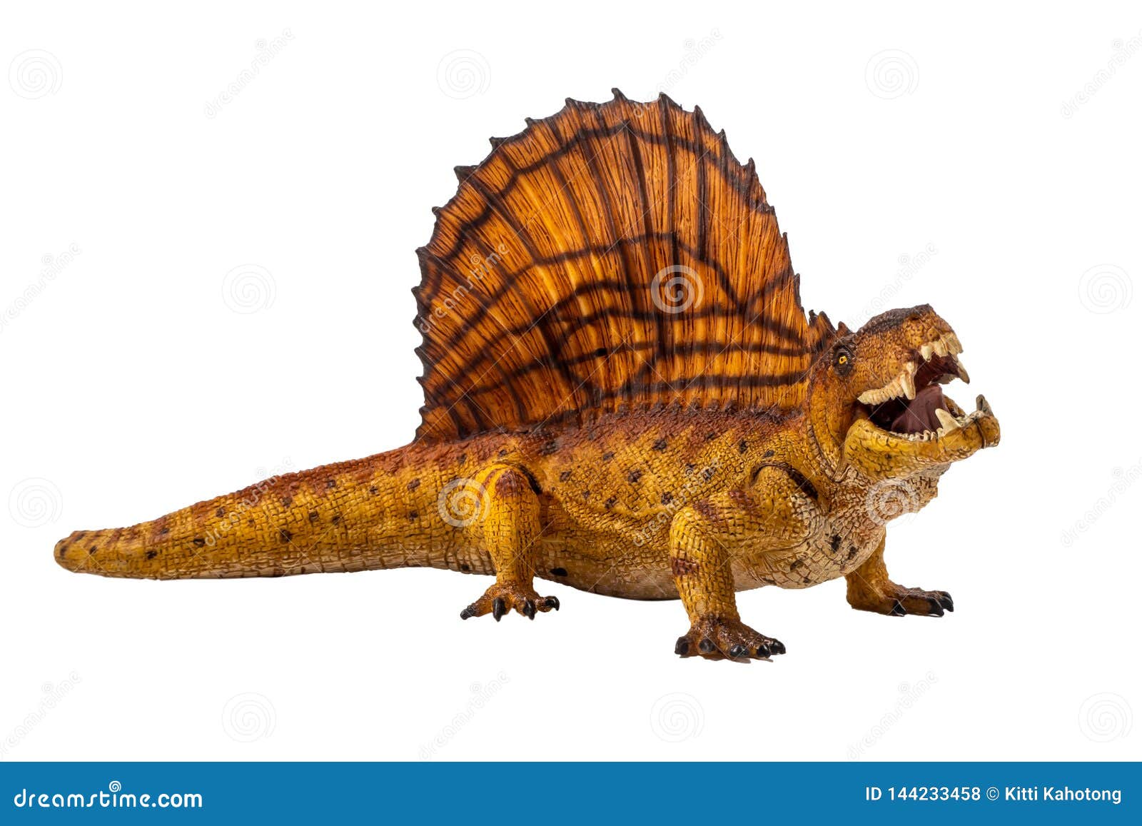 Dimetrodon Dinosaur on White Background Stock Photo - Image of ancient ...