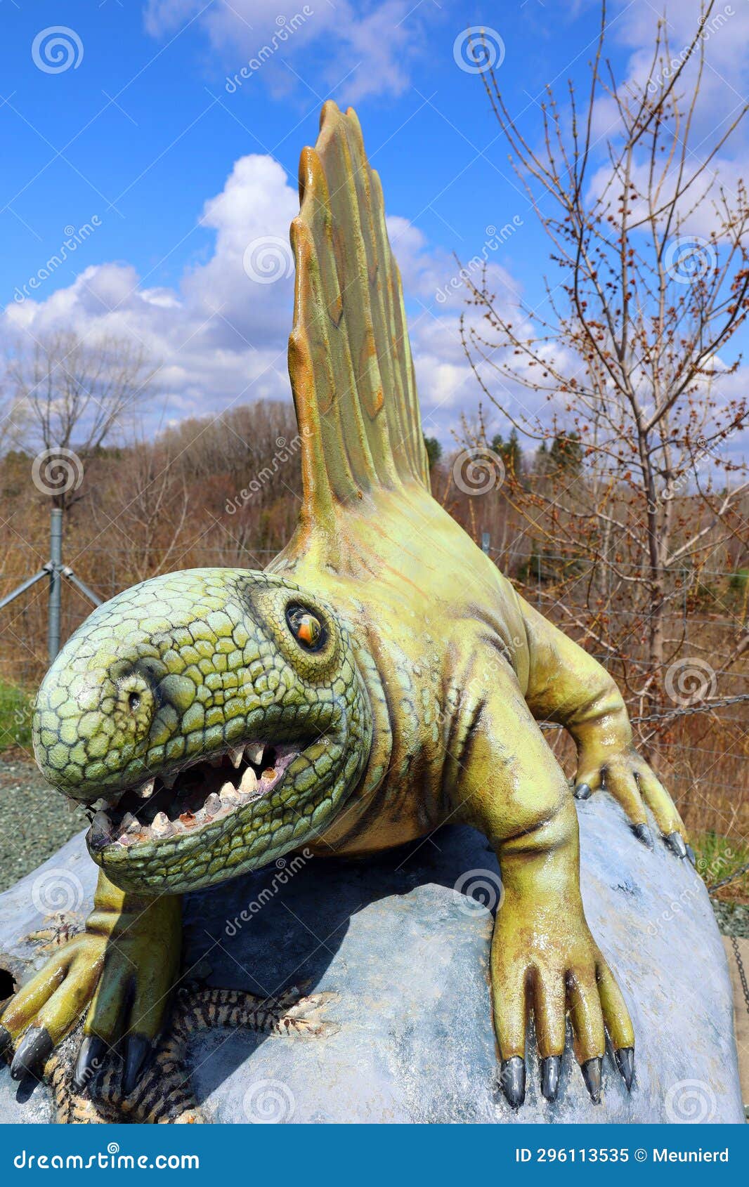 Dimetrodon Meaning Dimetrodon Meaning
