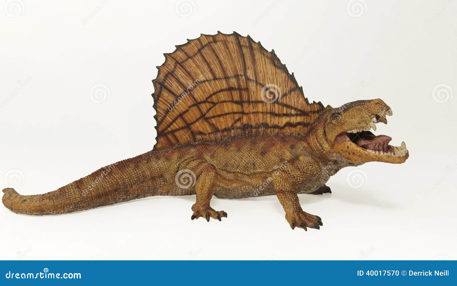 A Dimetrodon, a Permian Predatory Reptile Stock Photo - Image of ...