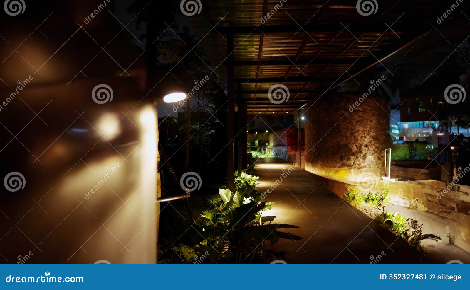 A Dimly Lit Walkway at Night with Plants and Flickering Light Stock ...