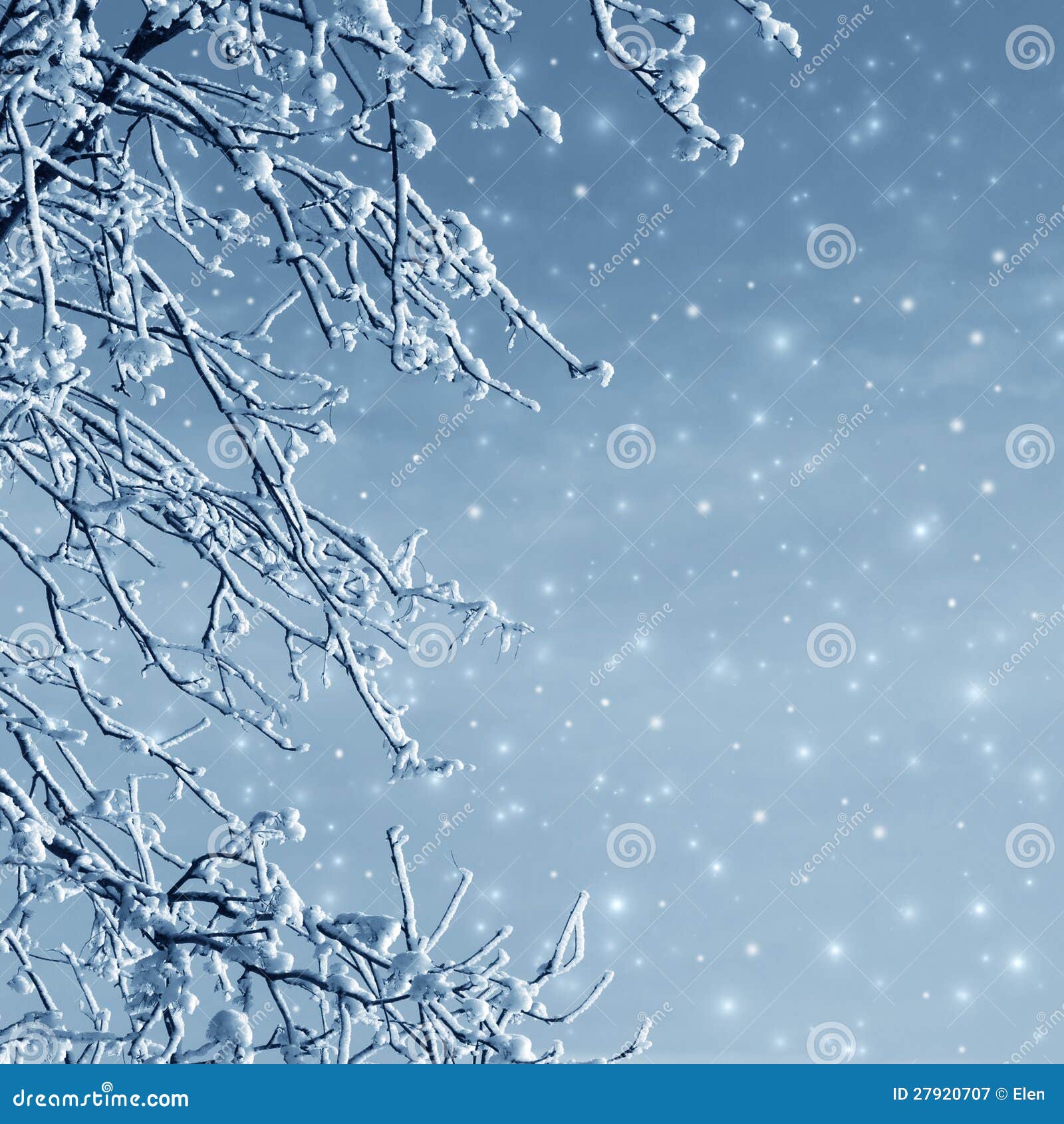 Dimmig vinterbild fotografering för bildbyråer. Bild av bakgrund - 27920707