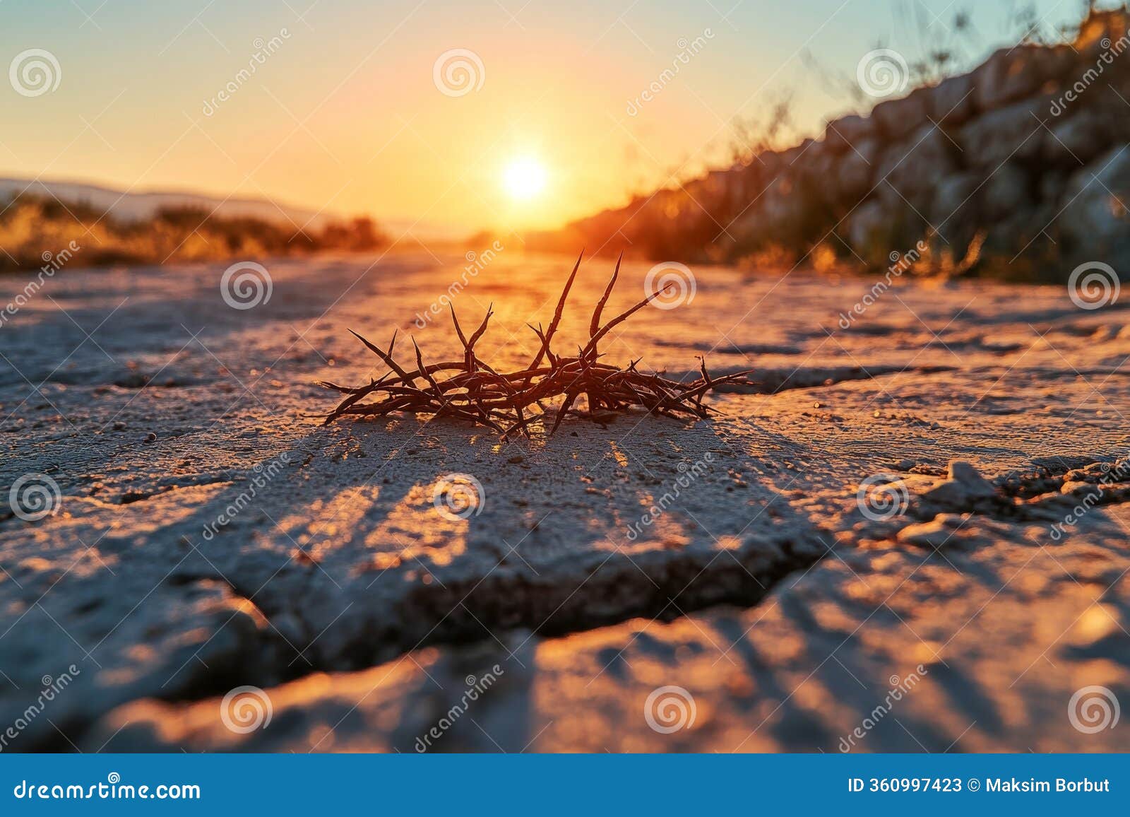 In the Dimness of a Room, a Table Features Jesus Crown of Thorns ...