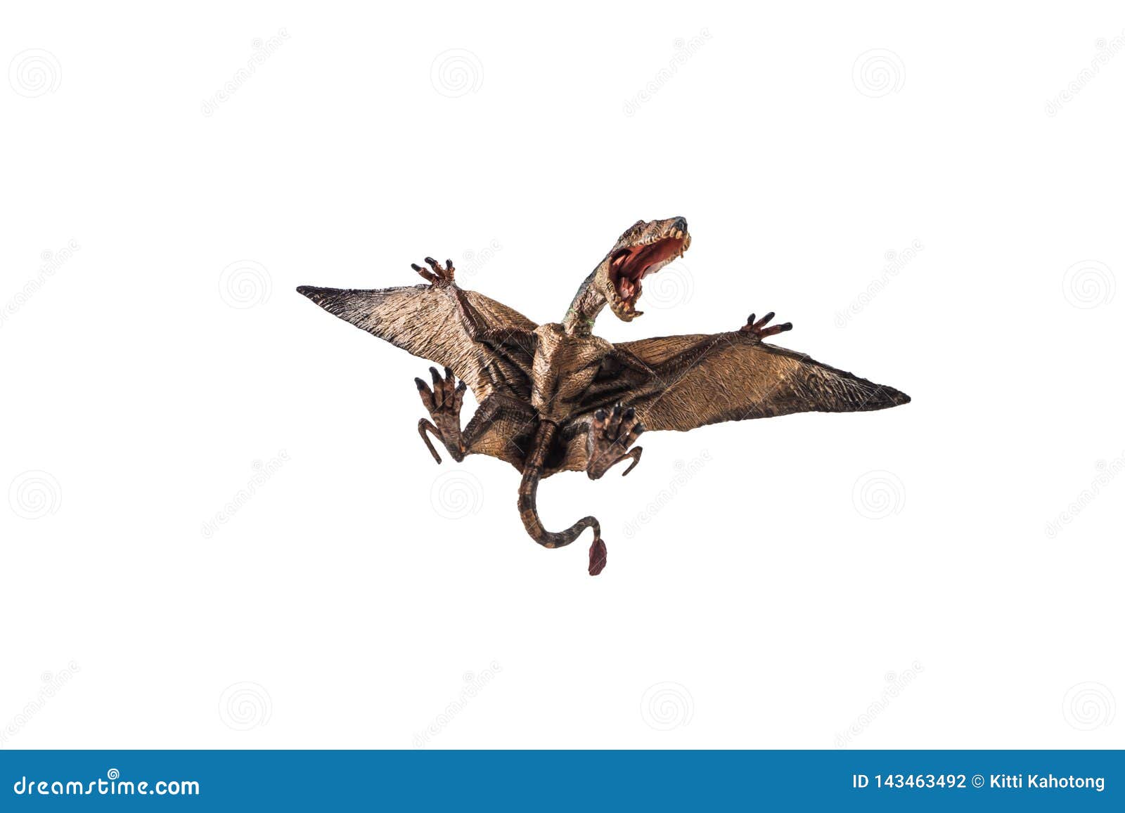 Dimorphodon Dinosaur on White Background Stock Photo - Image of animal ...
