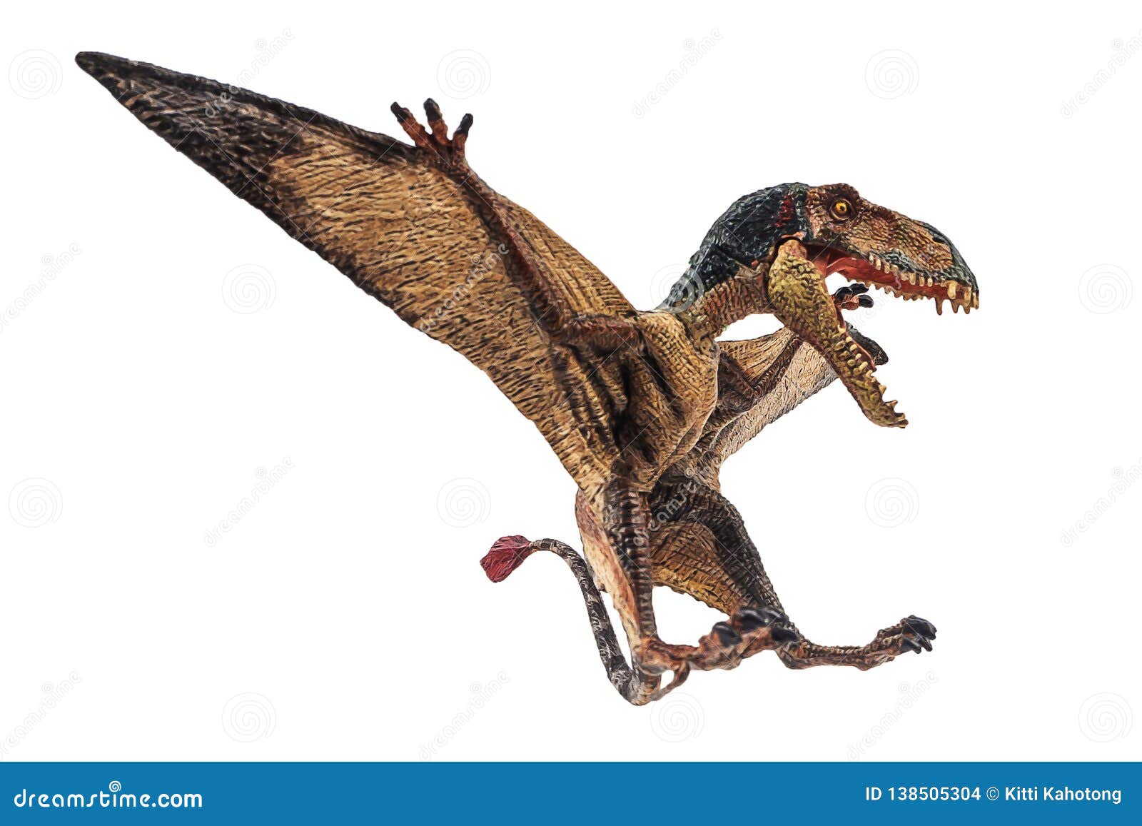 Dimorphodon Dinosaur on White Background Stock Photo - Image of ...