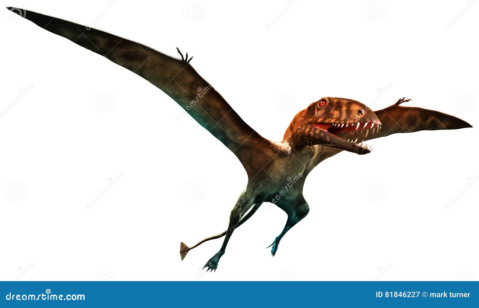 Dimorphodon stock illustration. Illustration of wings - 81846227