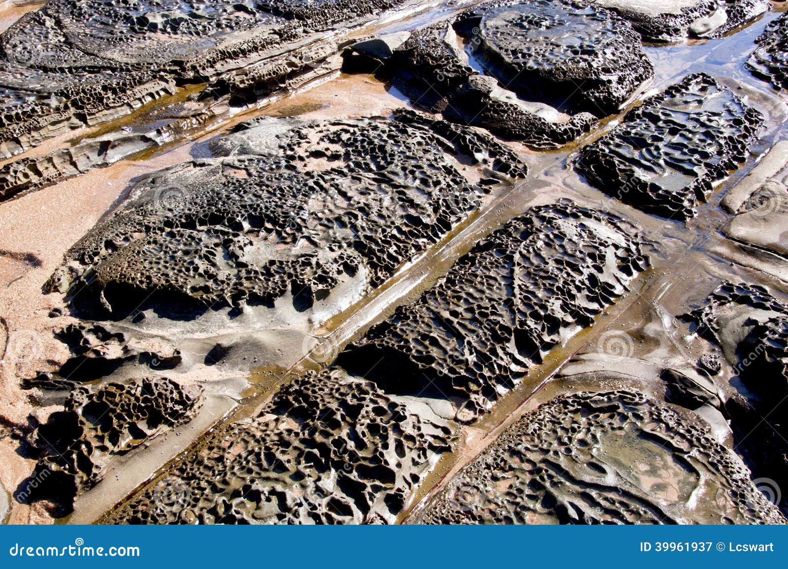 Dimpled and Rectangular Pattern in Rocks on Seashore Stock Image ...
