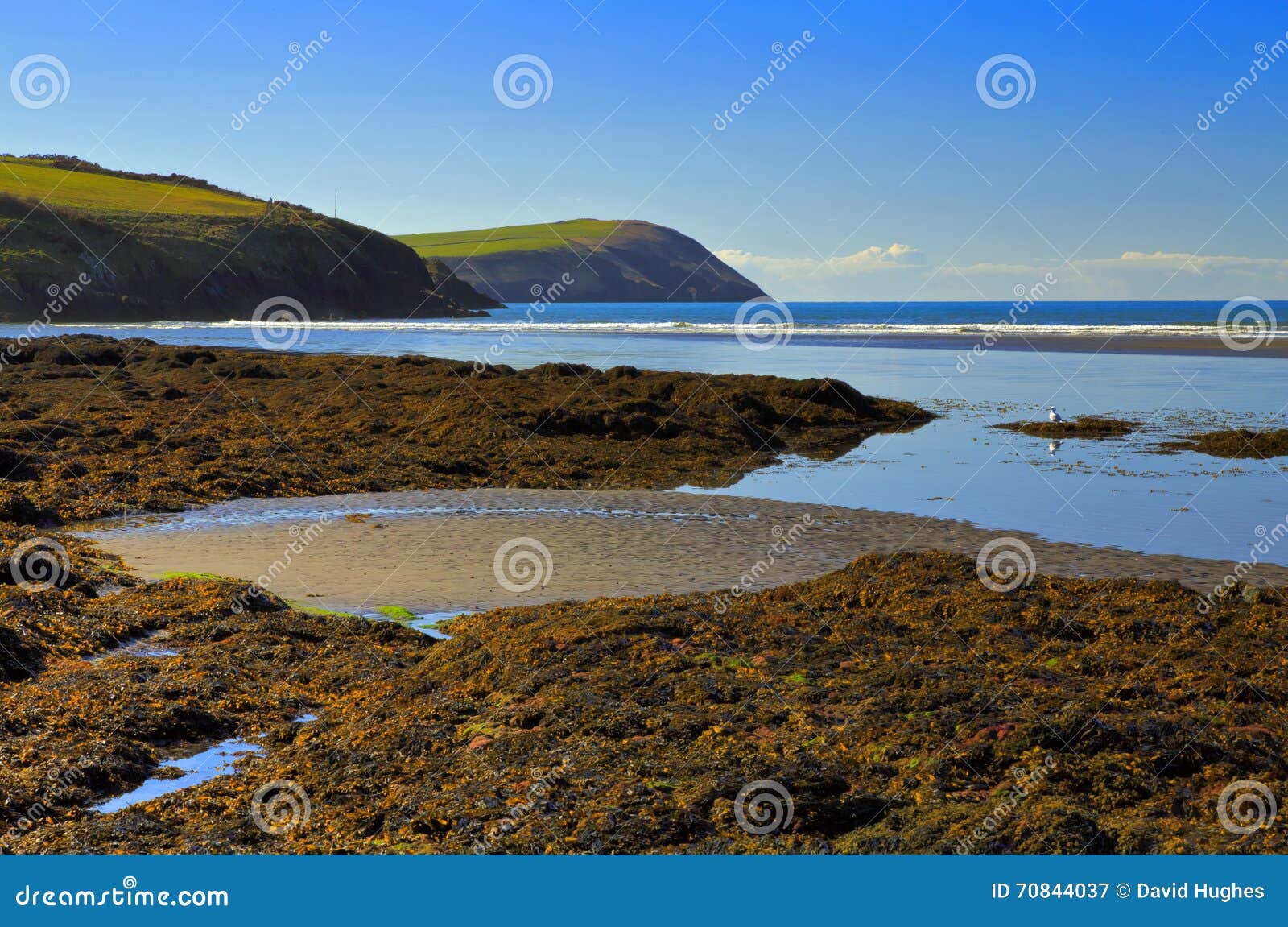 Dinas Head from Newport Sands Stock Image - Image of beautiful ...