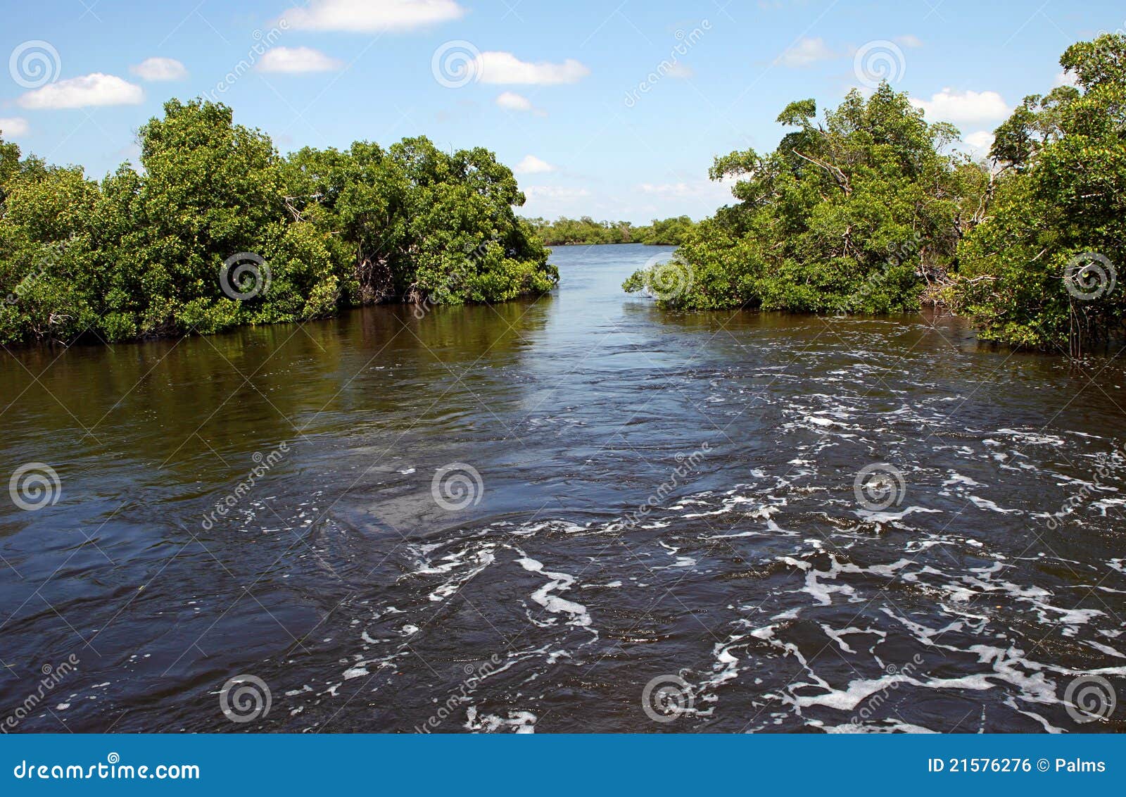 Ding Darling Wildlife Refuge Stock Photo - Image of ding, estuary: 21576276