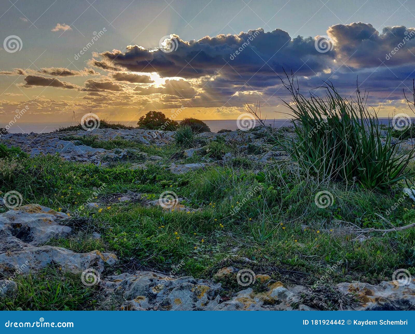 Dingli Cliffs Malta stock photo. Image of nature, prairie - 181924442