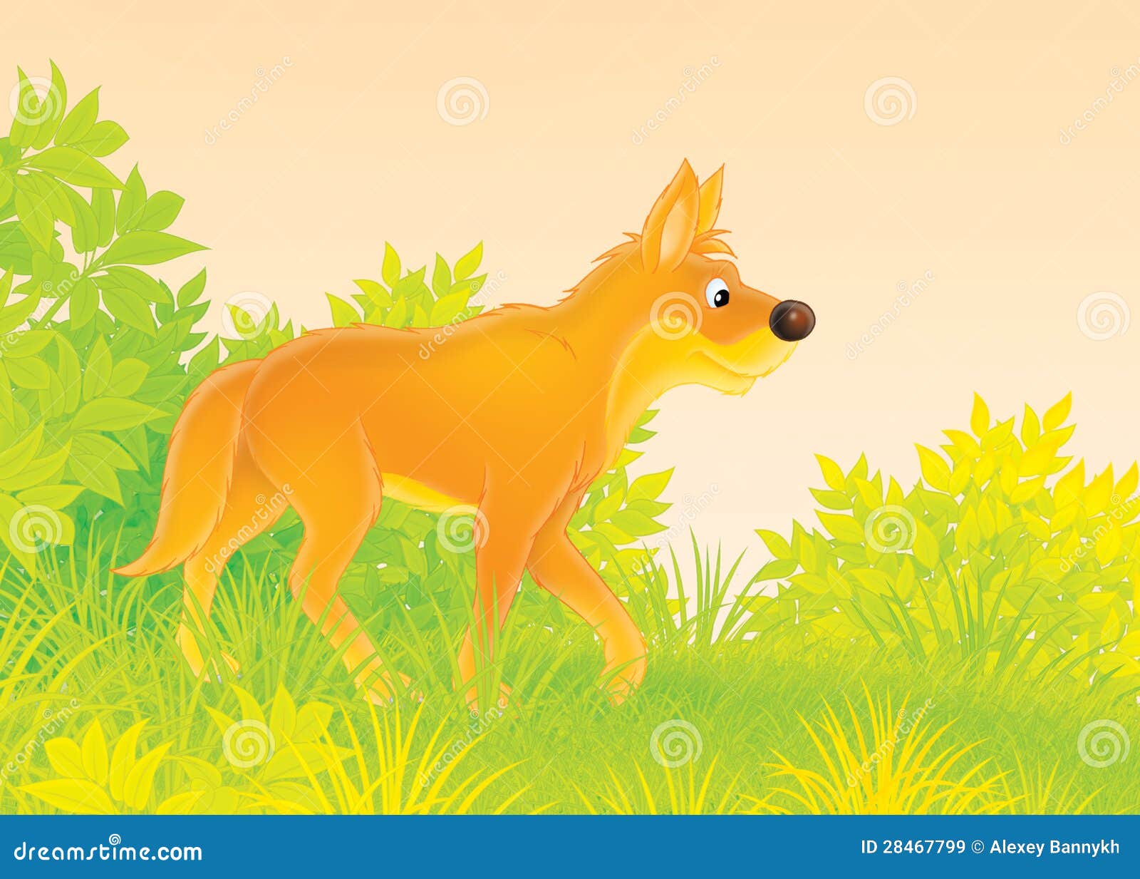 Dingo Cartoons, Illustrations & Vector Stock Images - 1778 Pictures to ...