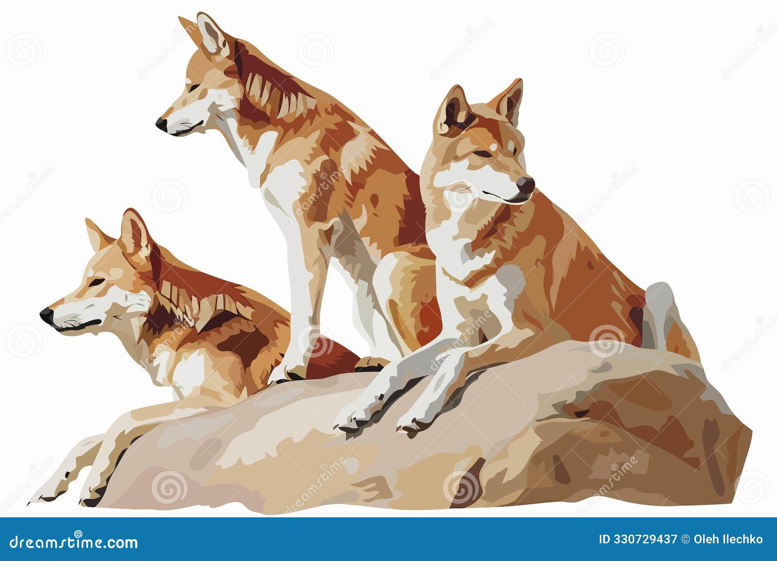 Dingos on a Rock Isolated Vector Style Stock Vector - Illustration of ...