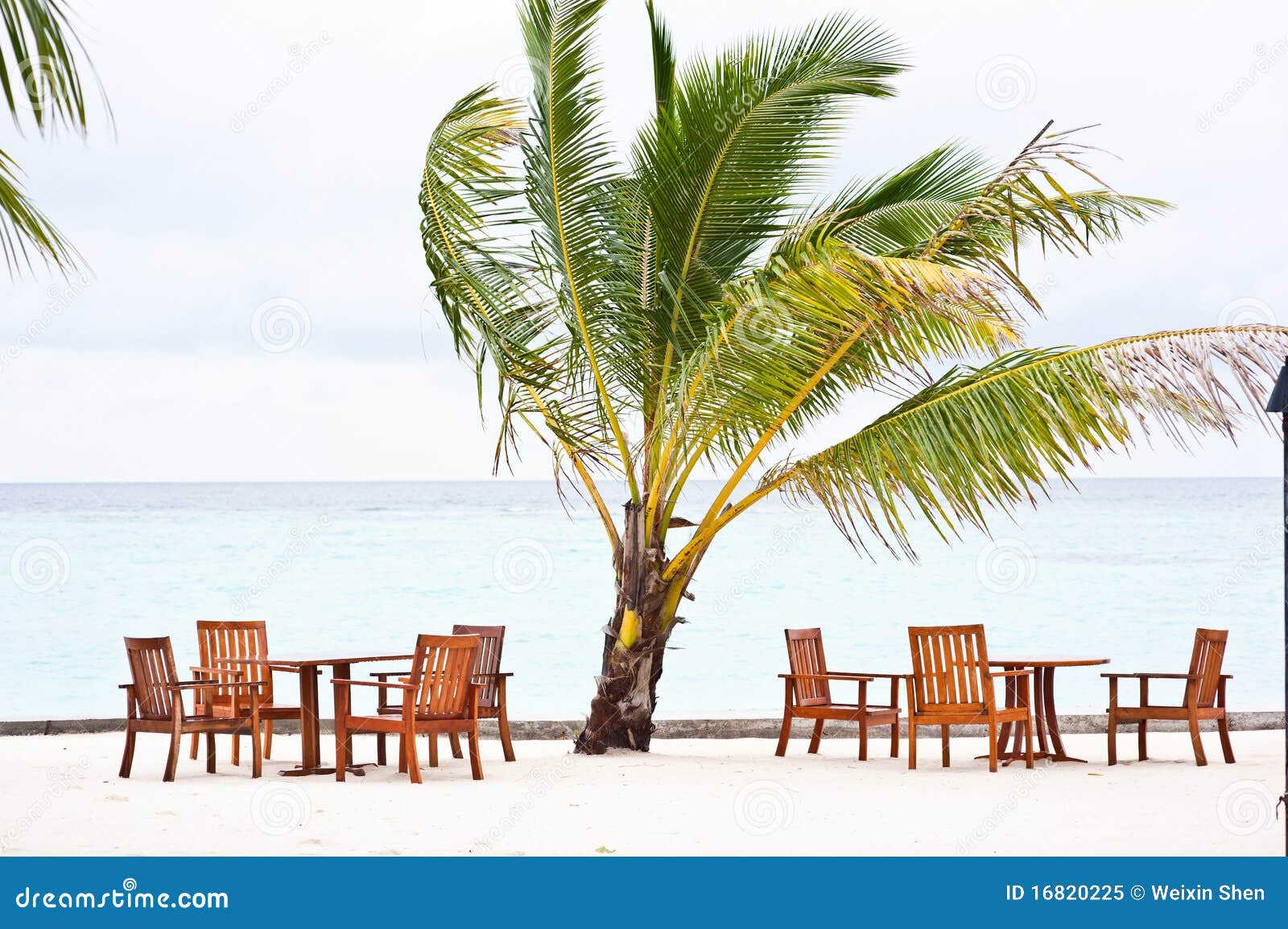 Dining Table on Beach in Maldives Resort Stock Image - Image of table ...