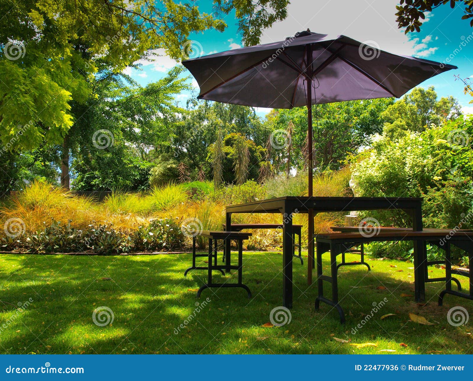 Dining table with parasol stock photo. Image of classic - 22477936