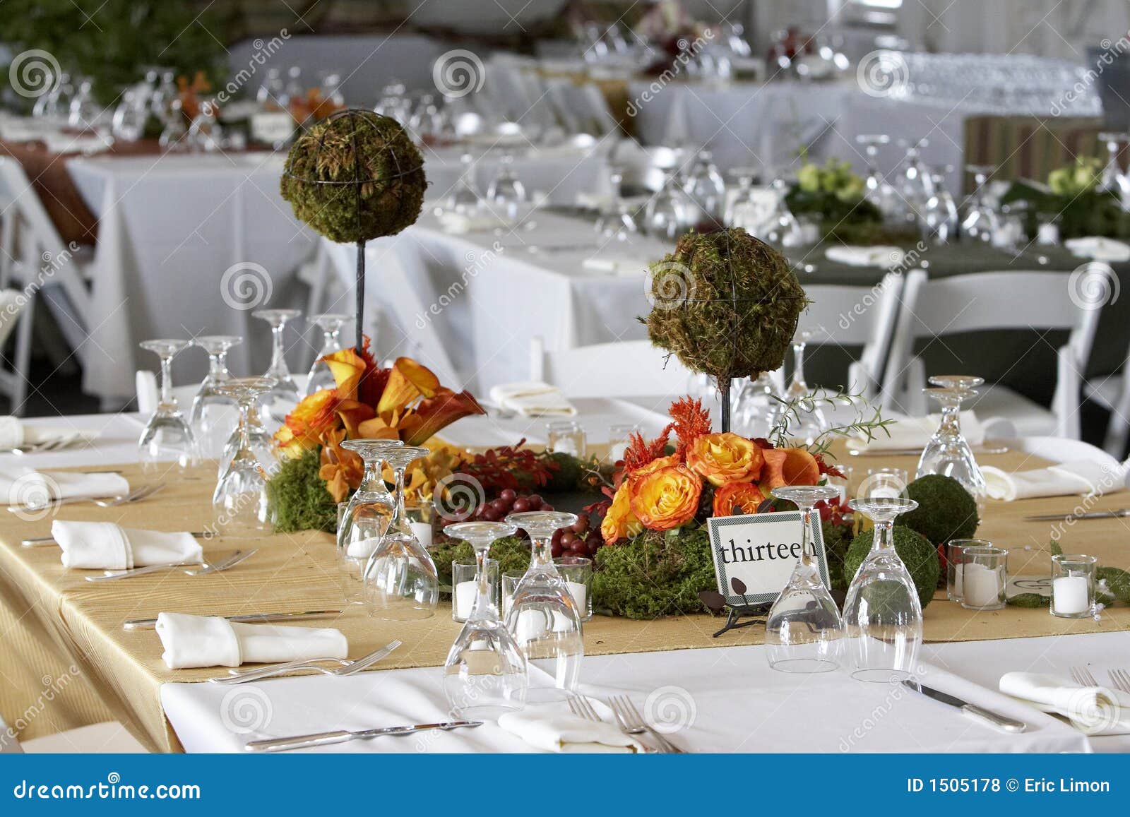 Dining Table Set for a Wedding or Corporate Event Stock Photo - Image ...