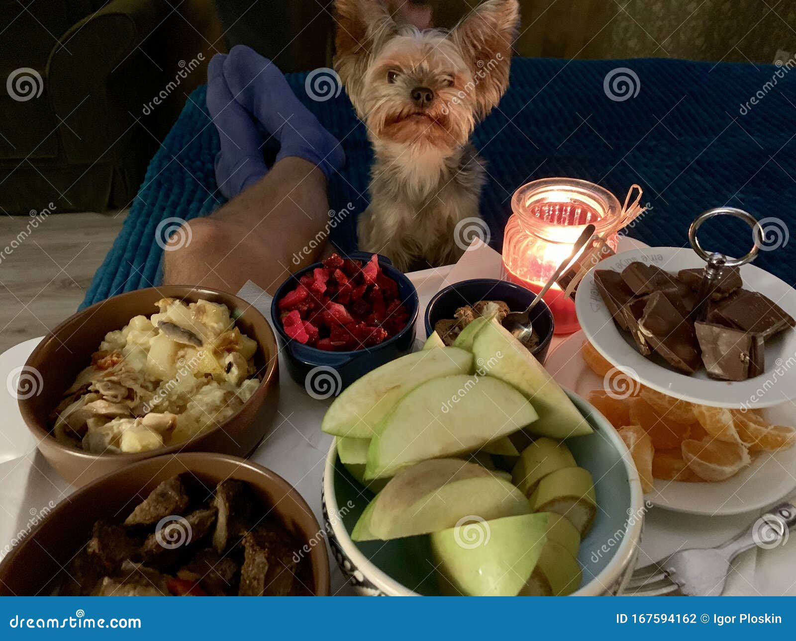 Dinner in bed and a dog stock photo. Image of notebook - 167594162