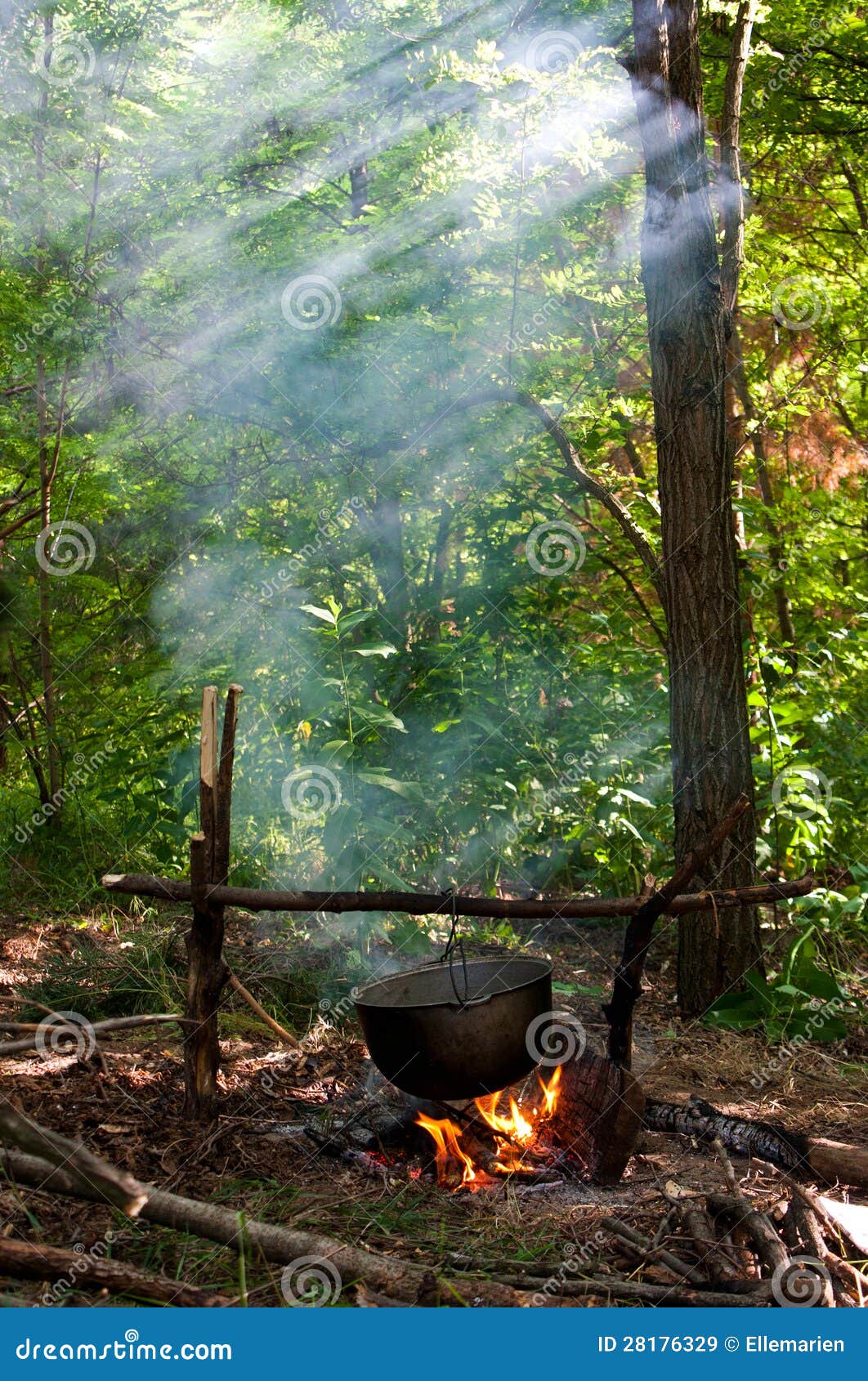 Dinner Cooks in a Large Pot Over an Open Fire Stock Image - Image of ...