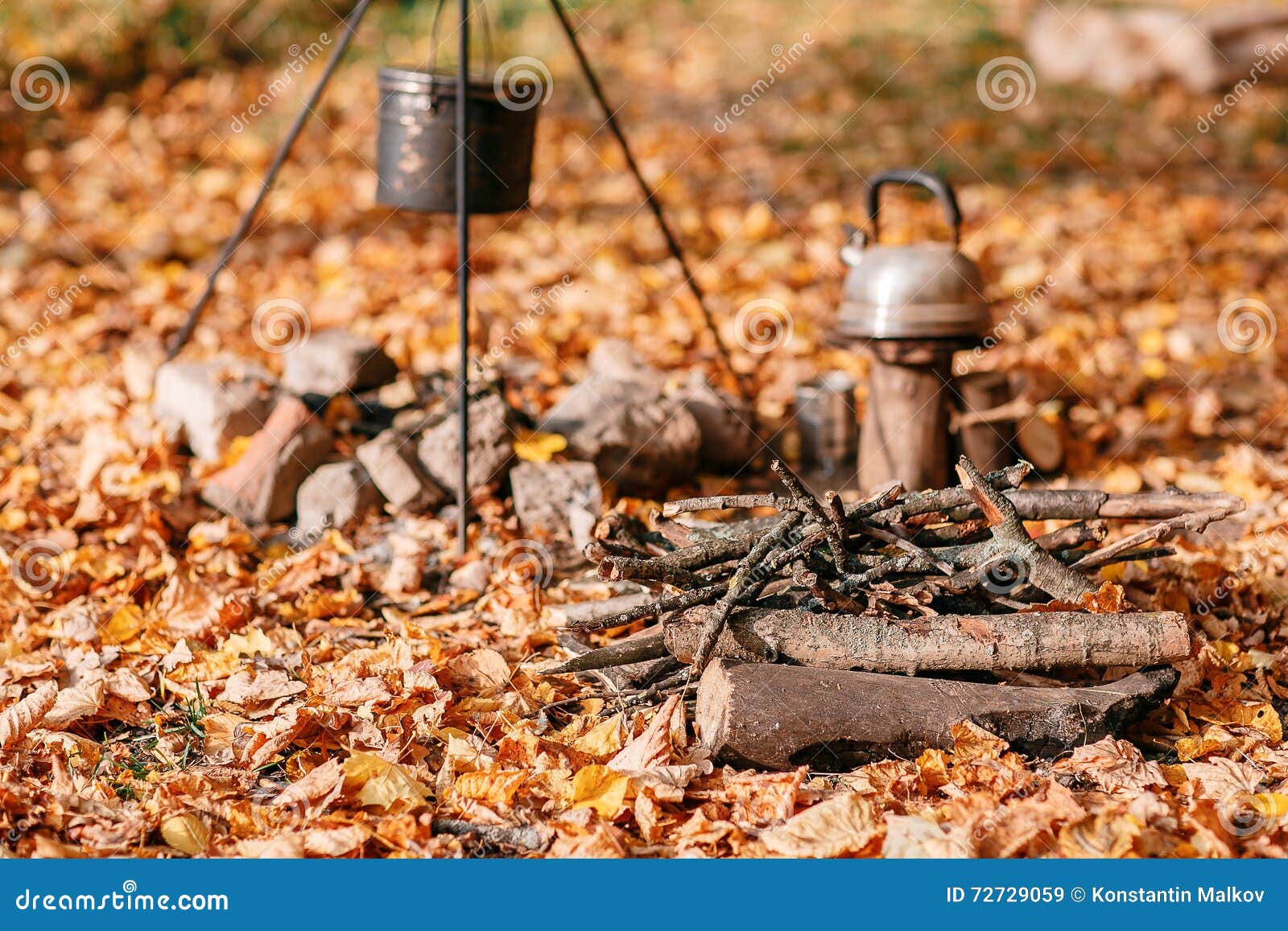Dinner Cooks in a Large Pot Over an Open Fire. Autumn Forest Stock ...