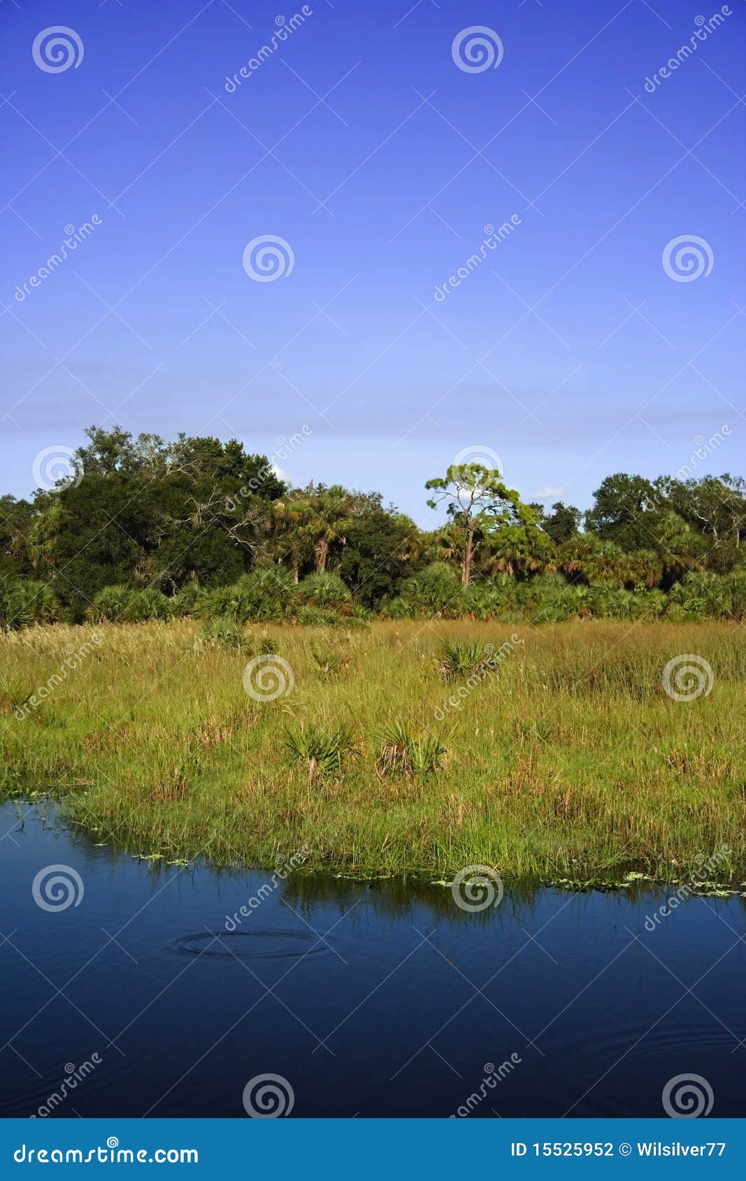 Dinner Island stock photo. Image of countryside, monument - 15525952