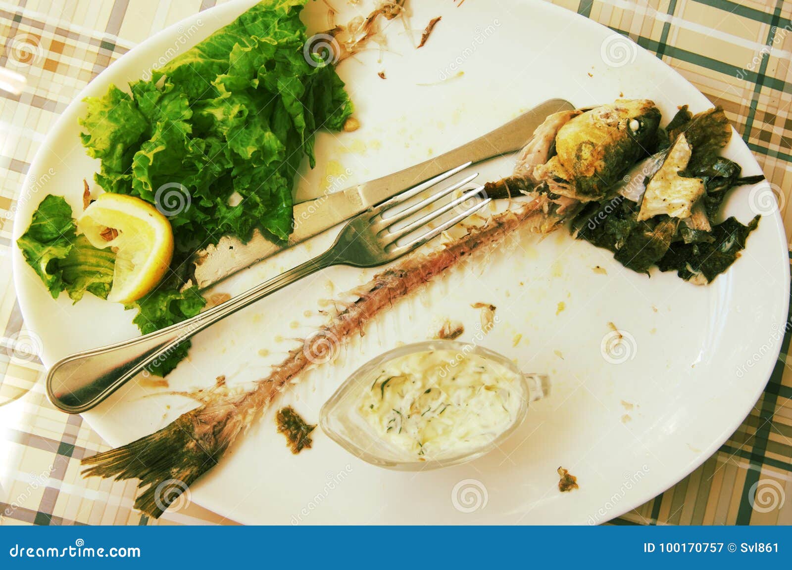 Dinner leftovers in plate stock image. Image of skeleton - 100170757