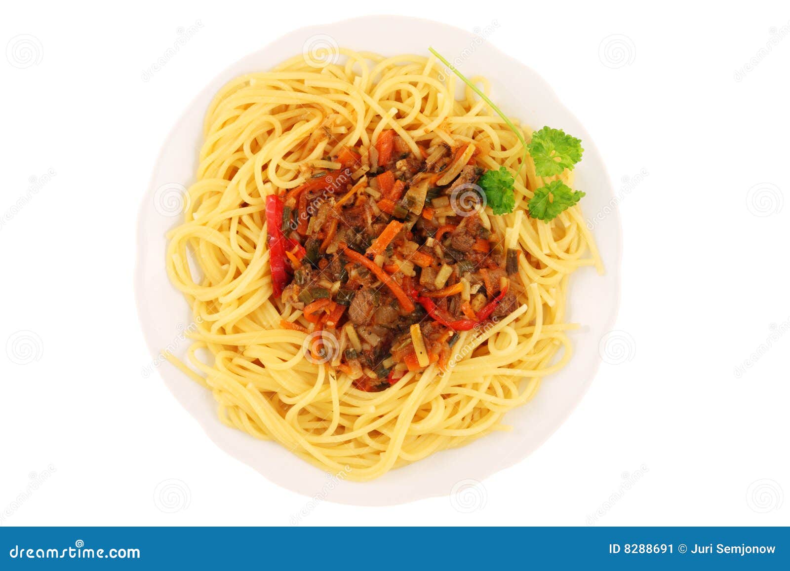 Spaghetti Dinner Plate