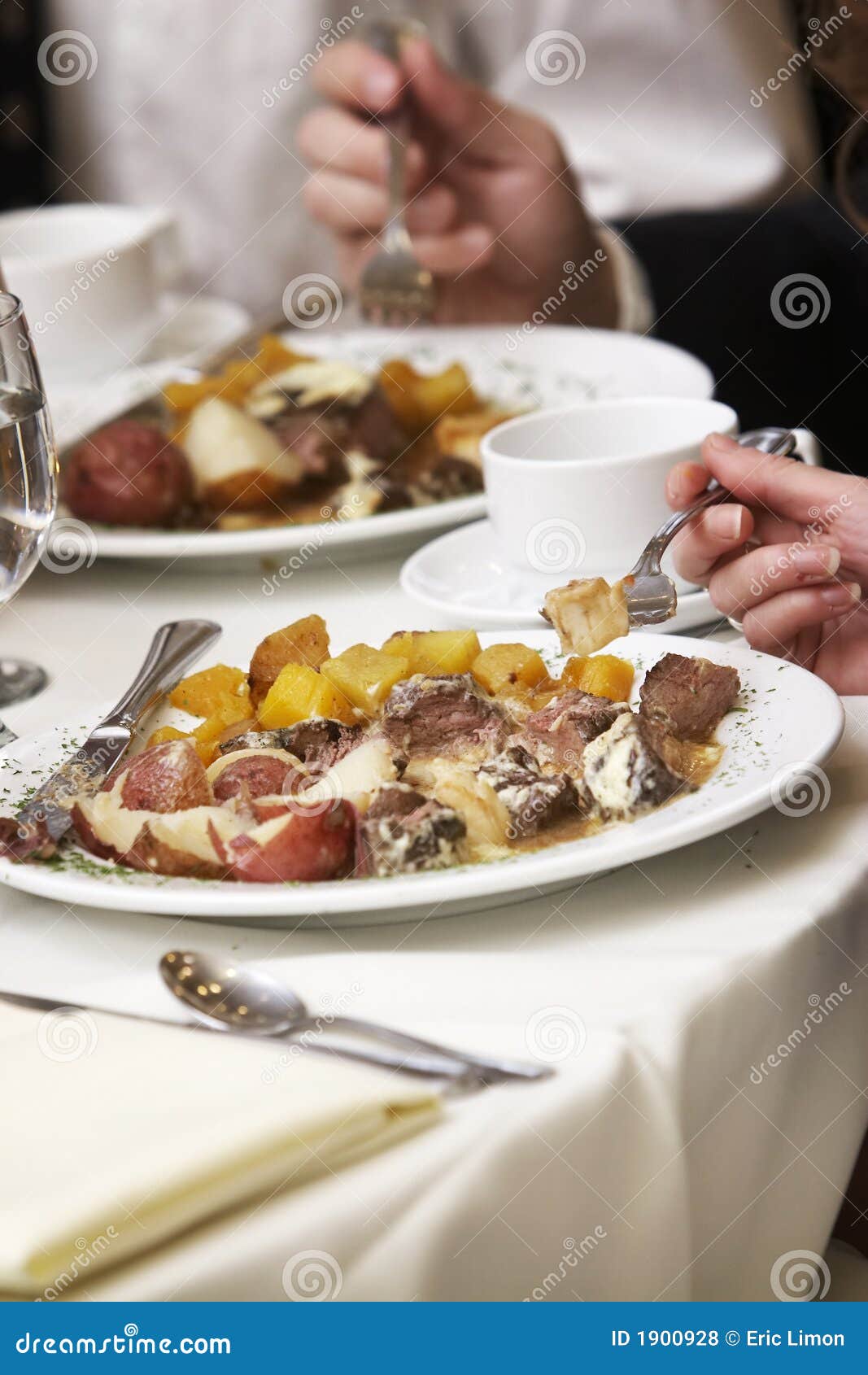 Dinner is served stock photo. Image of server, waiter - 1900928