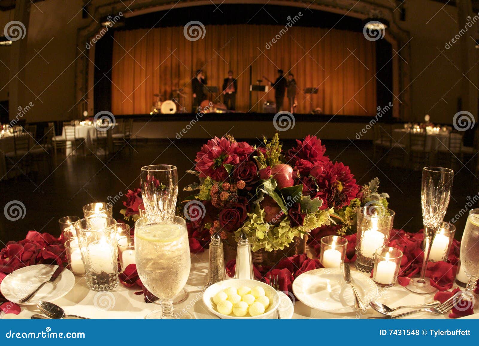Dinner and a show stock photo. Image of dinner, place - 7431548