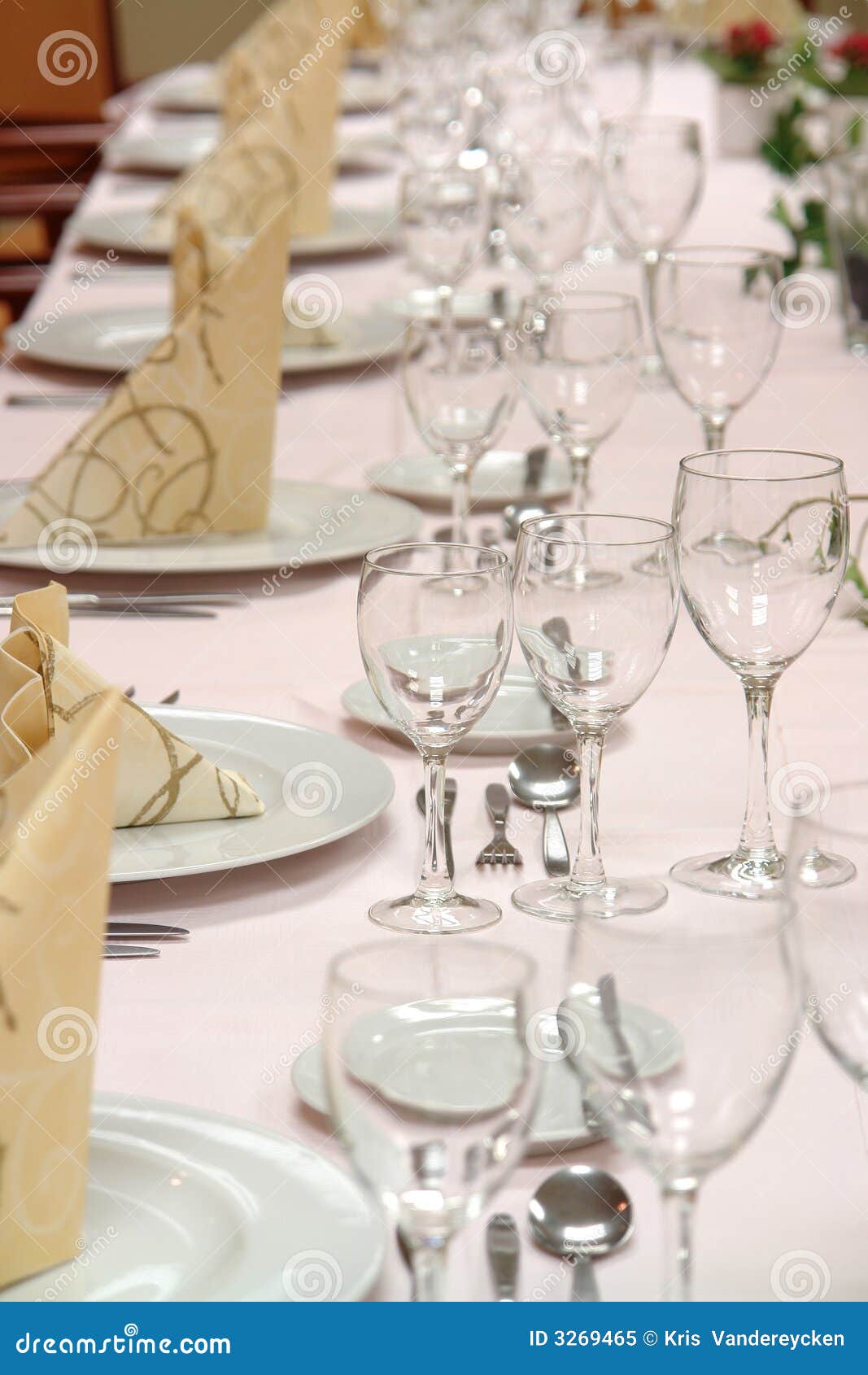 Dinner table setting stock image. Image of table, plants - 3269465