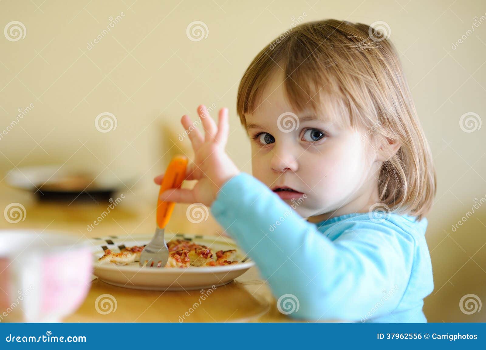 Dinner Time stock photo. Image of blue, plate, orange - 37962556