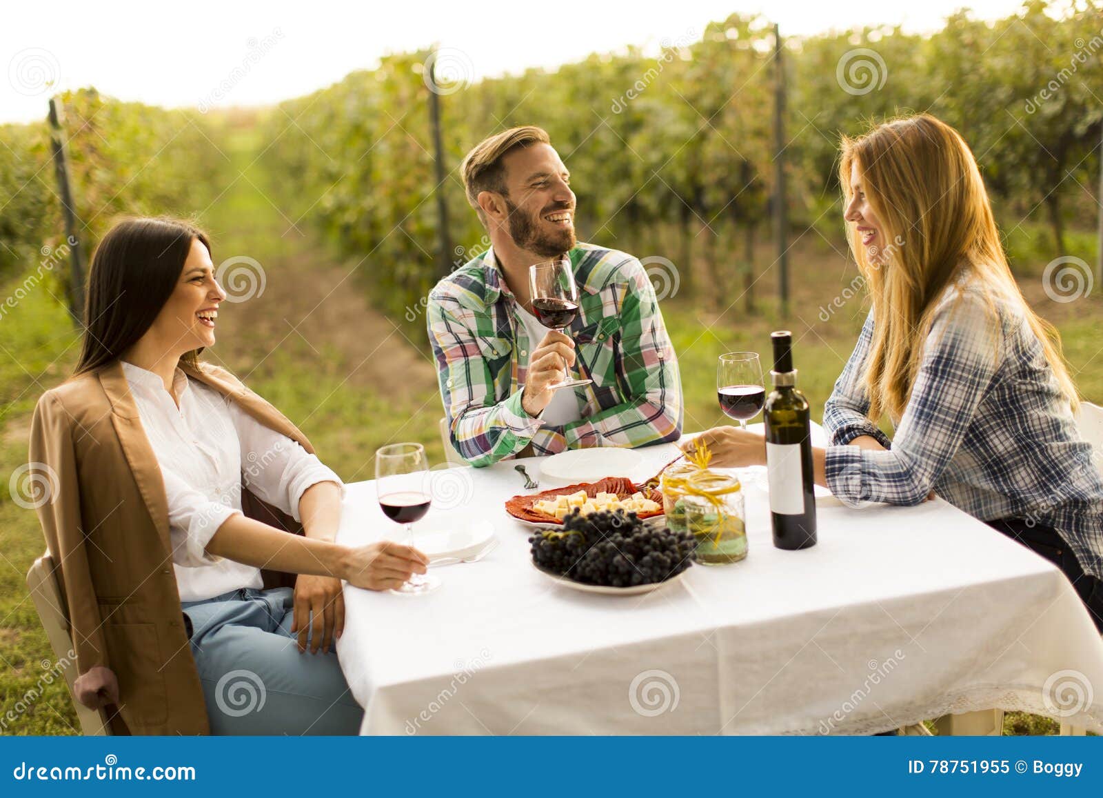 Dinner in the vineyard stock image. Image of romantic - 78751955