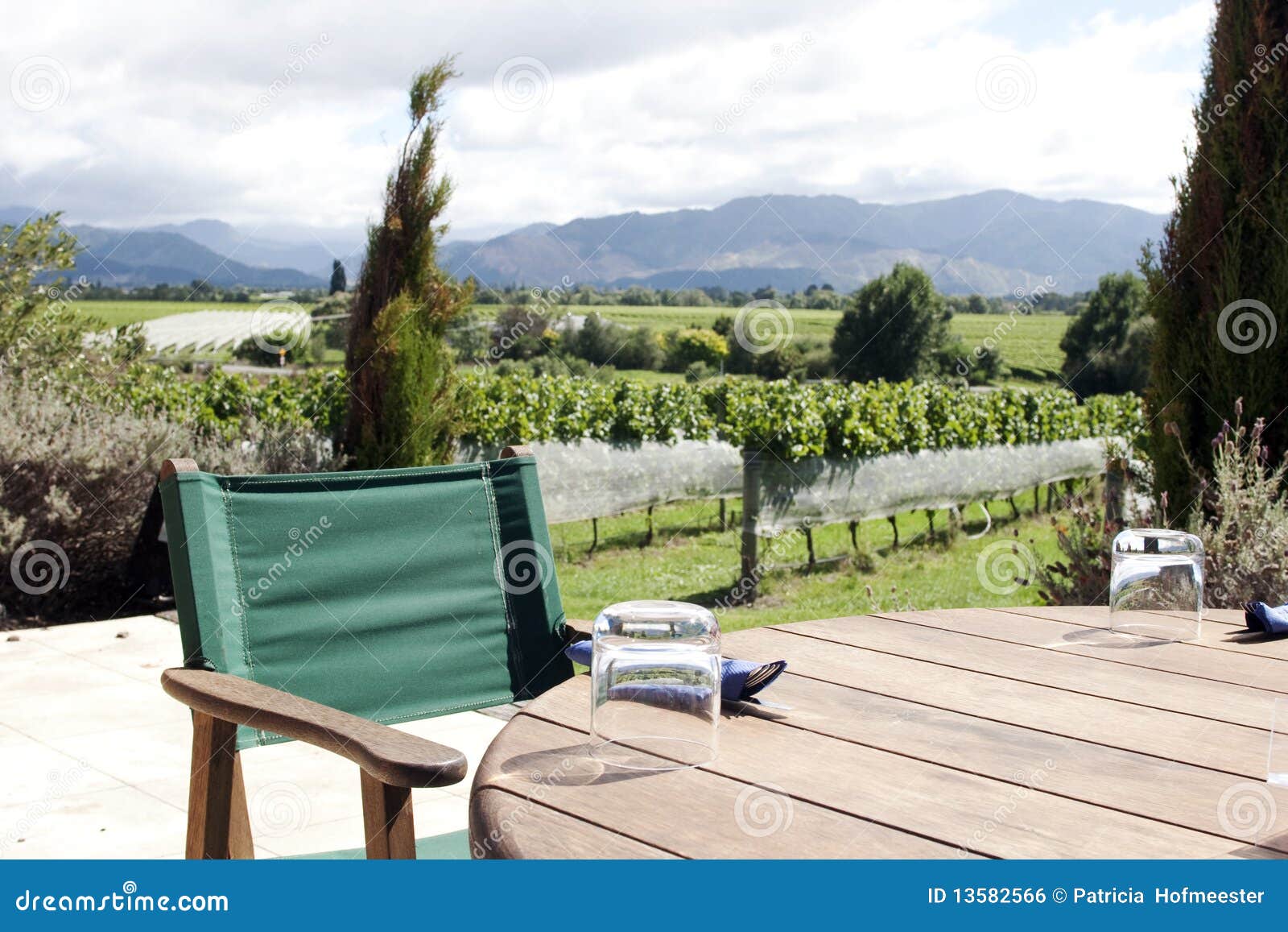 Dinnertable in vineyard stock photo. Image of outdoors - 13582566
