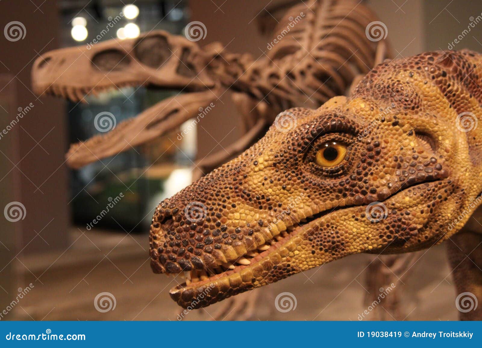 Dinosaur editorial stock image. Image of dinosaur, reproduction - 19038419