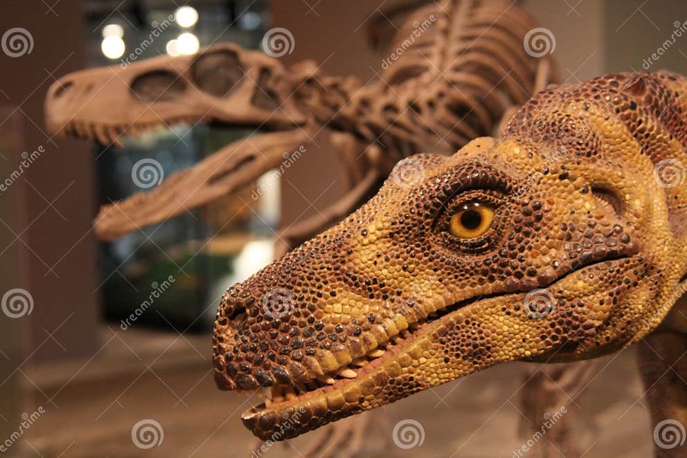 Dinosaur editorial stock image. Image of dinosaur, reproduction - 19038419
